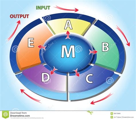 Continuous Circle Graph Multicolor Stock Vector Illustration Of Cycle Flowchart 38570889