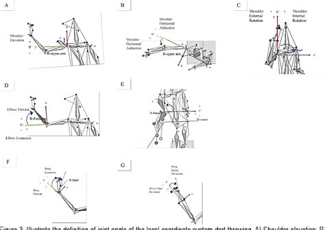 Figure 3 From Upper Limb Joint Kinematics Analysis Of Accuracy Dart