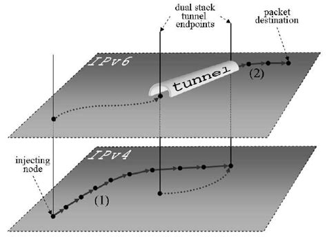 Packet Injection 1 An Ipv4 Packet Is Sent To A Tunnel Endpoint And