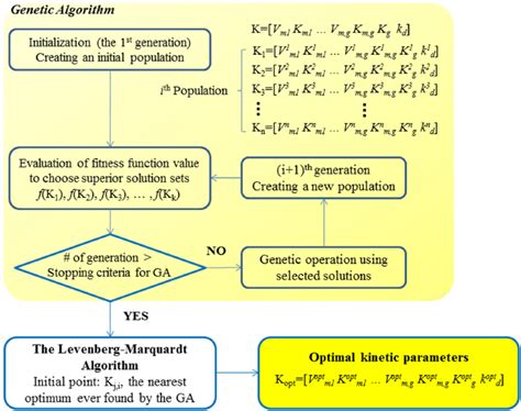 Procedure To Determine The Optimal Kinetic Parameters Of The Metabolic