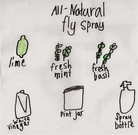 Flea Prevention Chicken Coop Fly Spray Insect Spray