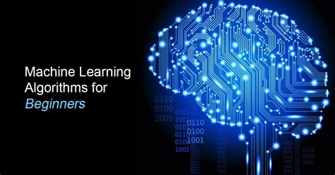 Machine Learning Algorithms Top ML Algorithms For Beginners
