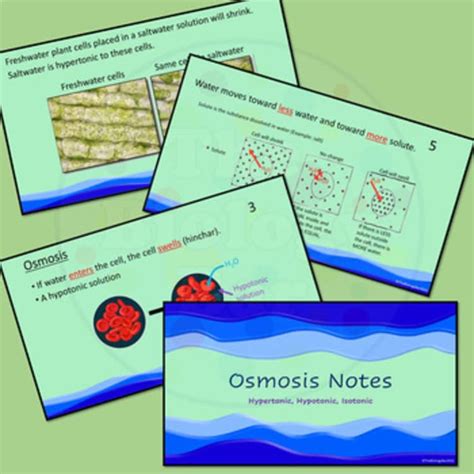 Esl Ell Support Biology Osmosis And Tonicity Notes And Worksheet