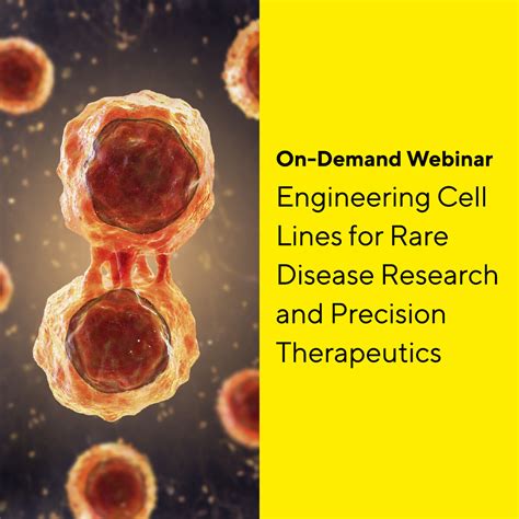 Octet® Affinity Binding Kinetics And Concentration On Linkedin Celllinedevelopment