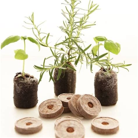 Nutrien Incredibly Good Environment Coco Coir Pith Coco Peat Hydroponics Jiffy Coco Coir Pellets