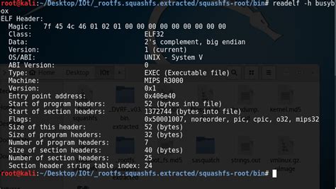 Iot Firmware Binary Emulation