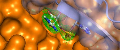 Macromolecular Structure Group At The Nucleus Sarafan Chem H