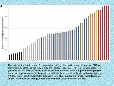 cot curve analysis for gene and genome complexity ppt biological