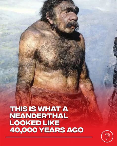 Puberty Neanderthals Were Far From The Primitive Cavemen” Theyre