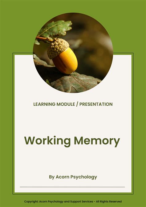 Understanding Working Memory Acorn Psychology