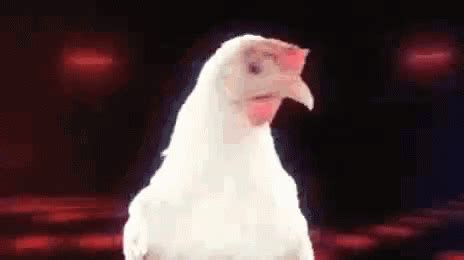 Chicken Dance S