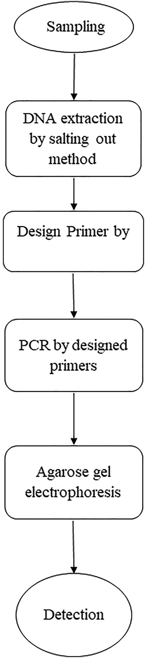 A Schematic Representation Of The Study Protocol Download Scientific Diagram