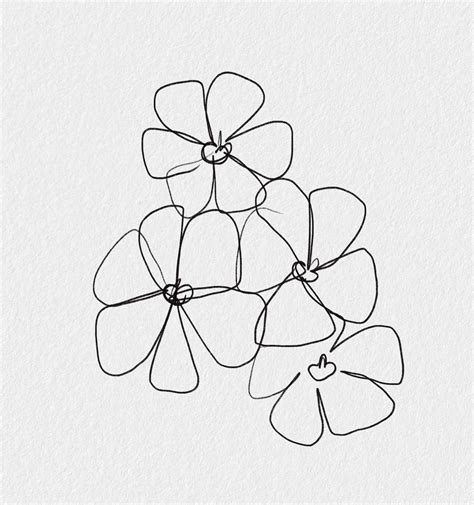 Aesthetic Flower Drawing Ideas At Cameron Kopsen Blog