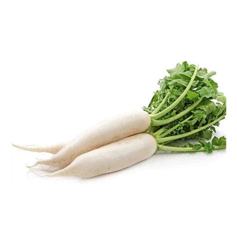 Buy Radish White مولی سفید۔ At Best Price Grocerapp