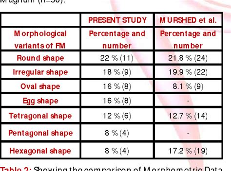 Table 1 From Morphometric Evaluation Of The Foramen Magnum And