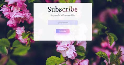 Best CSS Subscribe Form Designs