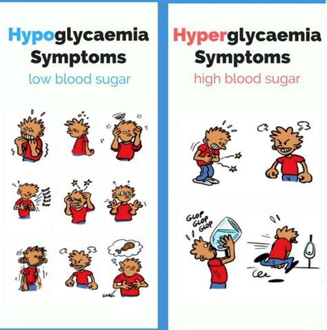 Hypo Hyperglycemia S S Diagram Quizlet