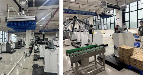 high precision parallel robots robobeen