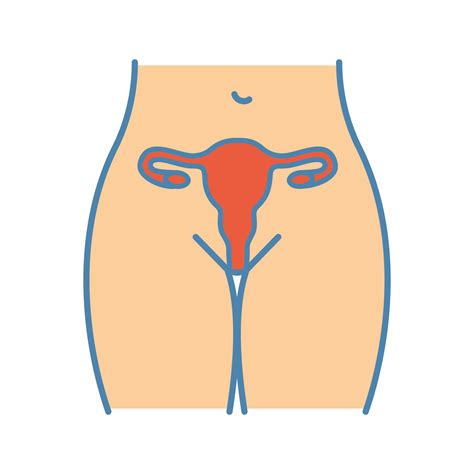 Female Reproductive System Color Icon 3762292 Vector Art At Vecteezy