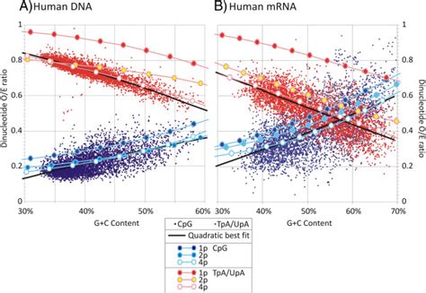 Observed Expected Cpg And Upa Frequencies In A Human Dna And B Download Scientific