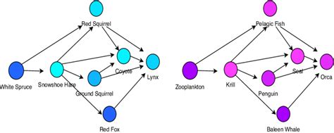 best in color food web graph of figure 1 with node colors that map