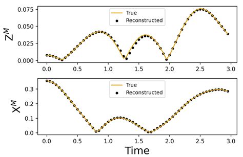 Time Dynamics For X M And Z M Magnetic Field Observables Using The