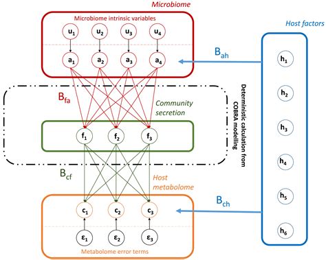 Causal Inference On Microbiome Metabolome Relations In Observational