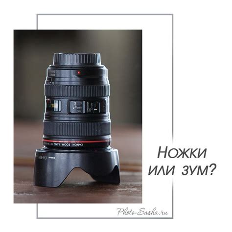 Зум-объектив или Фикс-объектив? Что лучше? | Canon zoom, Canon zoom ...