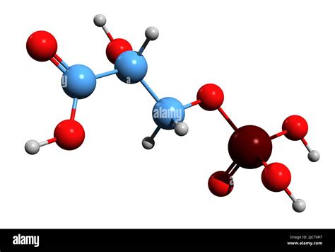 3d Image Of 3 Phosphoglycerate Skeletal Formula Molecular Chemical Structure Of 3