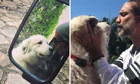 Alejandro Fern Ndez Se Despide De Un Gran Amigo Hola