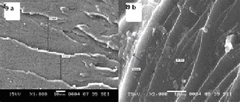 Cleavage Plane Of A Pure Epoxy B Composite Sample Download Scientific Diagram