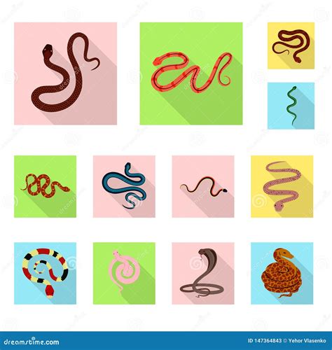 Vector Design Of Skin And Reptile Sign Set Of Skin And Danger Stock Vector Illustration Stock