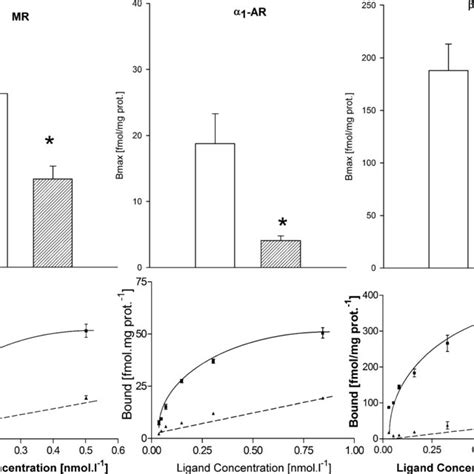 Top Total Number Of Muscarinic α 1 Adrenoceptor And βadrenoceptor