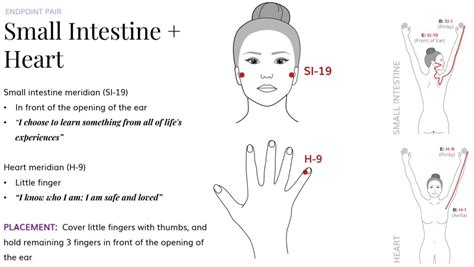 Experience The Power Of Combining Affirmations Holding Meridian