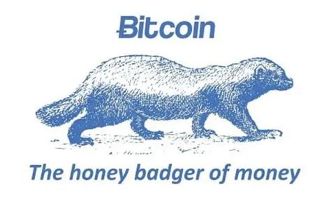 信息泄露不用怕，这位技术大牛花3万美元让自己从数据世界中消失 知乎