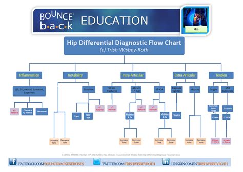 Differential Diagnosis Flowchart