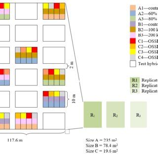 Experimental Plot Design Download Scientific Diagram