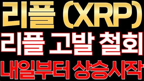 리플xrp 또 쏜다 Sec 소송철회 확정 1월20일 까지 존버 🔥 리플코인 비트코인 도지코인 스텔라루멘 트럼프