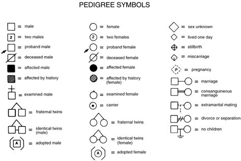 Pedigree Analysis Symbols