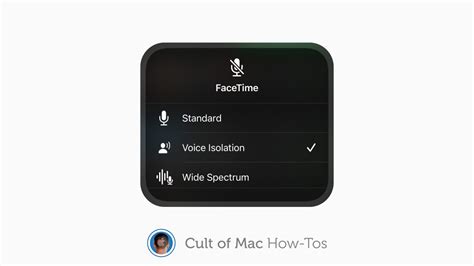 How To Enable Voice Isolation For FaceTime Calls In IOS 15