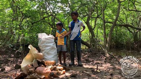 Tackling Plastic Pollution Beyond The River Cleanup