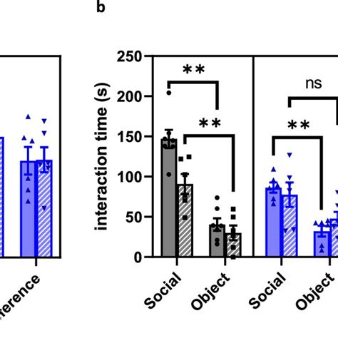 Male Cav12 Cko Mice Display Impaired Social Preference On The