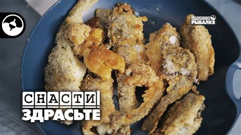 Навага должна быть свежей. Тогда вкусно | Снасти, здрасьте! - YouTube