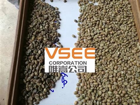 How To Process Impurity From Coffee Bean