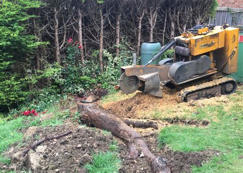 What Does It Cost To Remove Or Grind A Tree Stump Treestumper Tree Stump Removal Theres