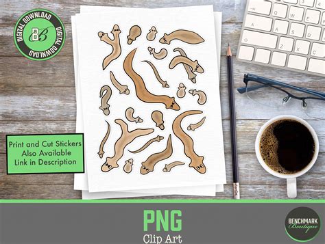 Planaria Clip Art Png Cute Worm Clip Art Illustrations Biology Clip Art