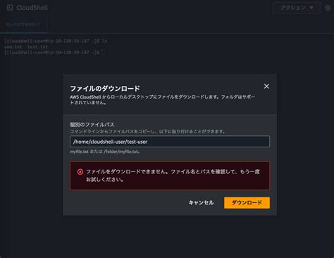 Aws Cloudshell におけるファイルのアップロード・ダウンロードを禁止する権限を試してみた Developersio