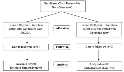 Maples Scientific Publisher Open Access Journals Peer Reviewed Journals Maplespub