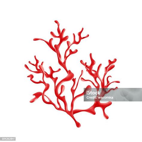 추상적임 레드 산호색 배경 3d 액체형 튀기다 일러스트 바다에 대한 스톡 사진 및 기타 이미지 바다 3차원 형태 산호초 Istock