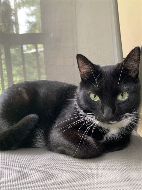 Hannah Cechini On Twitter Happy Saturday Delmarva How Are You Enjoying This Break From The